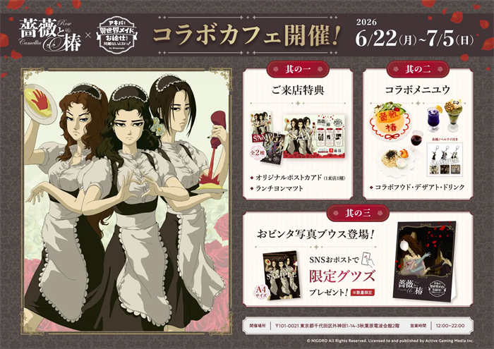 《蔷薇与椿～豪华绚烂版～》大型更新《电波通讯对战之章》现已释出同步展开新史低3 折 ... - Switch资讯 - MigSwitch中文网 ...